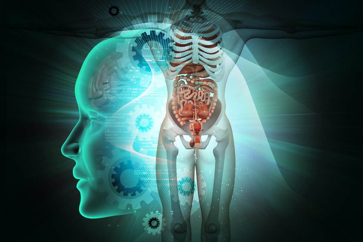 Endocrine System | mindbodysoul holistic health